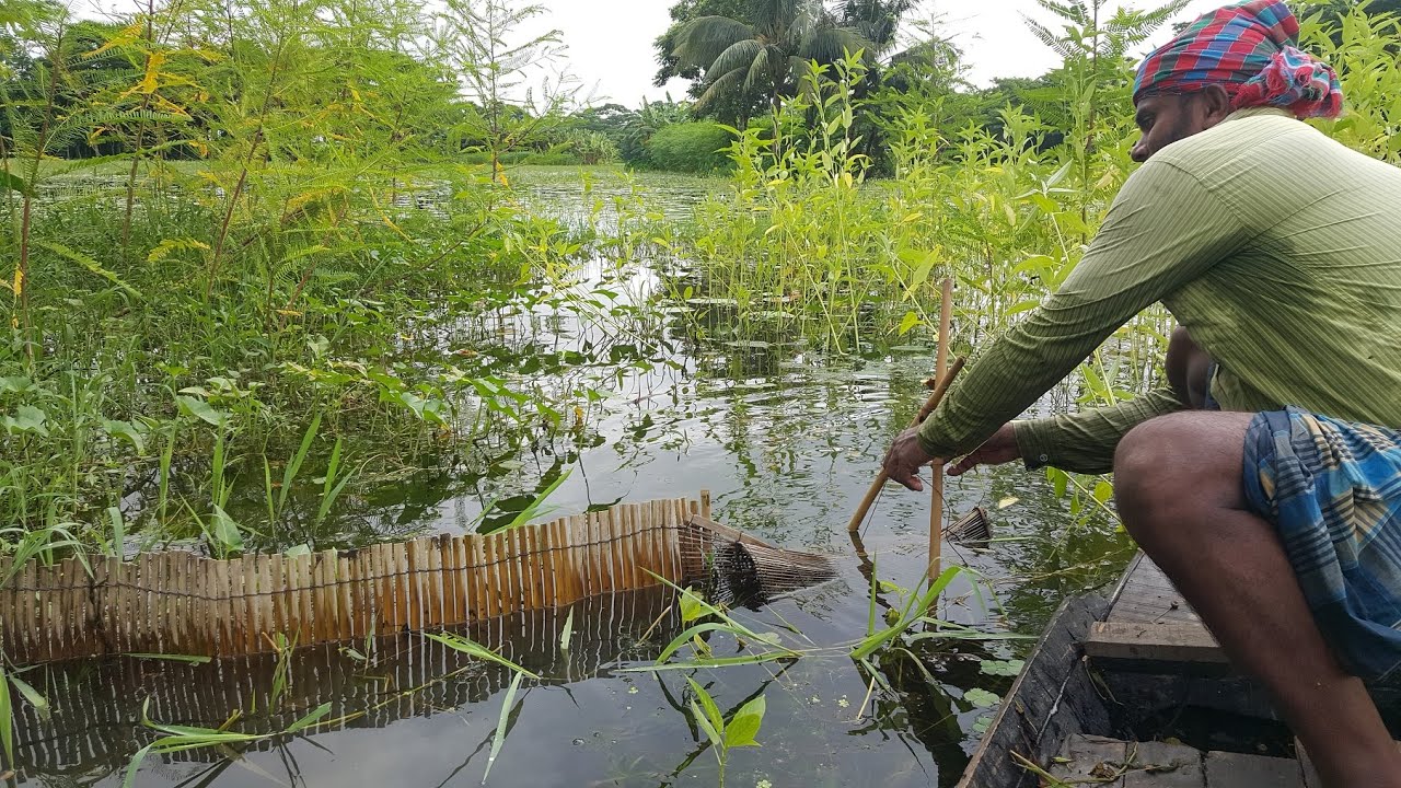 Amazing Chai Fishing || Trap Anta Fish [ দুহার দিয়া মাছ ধরা ] - YouTube