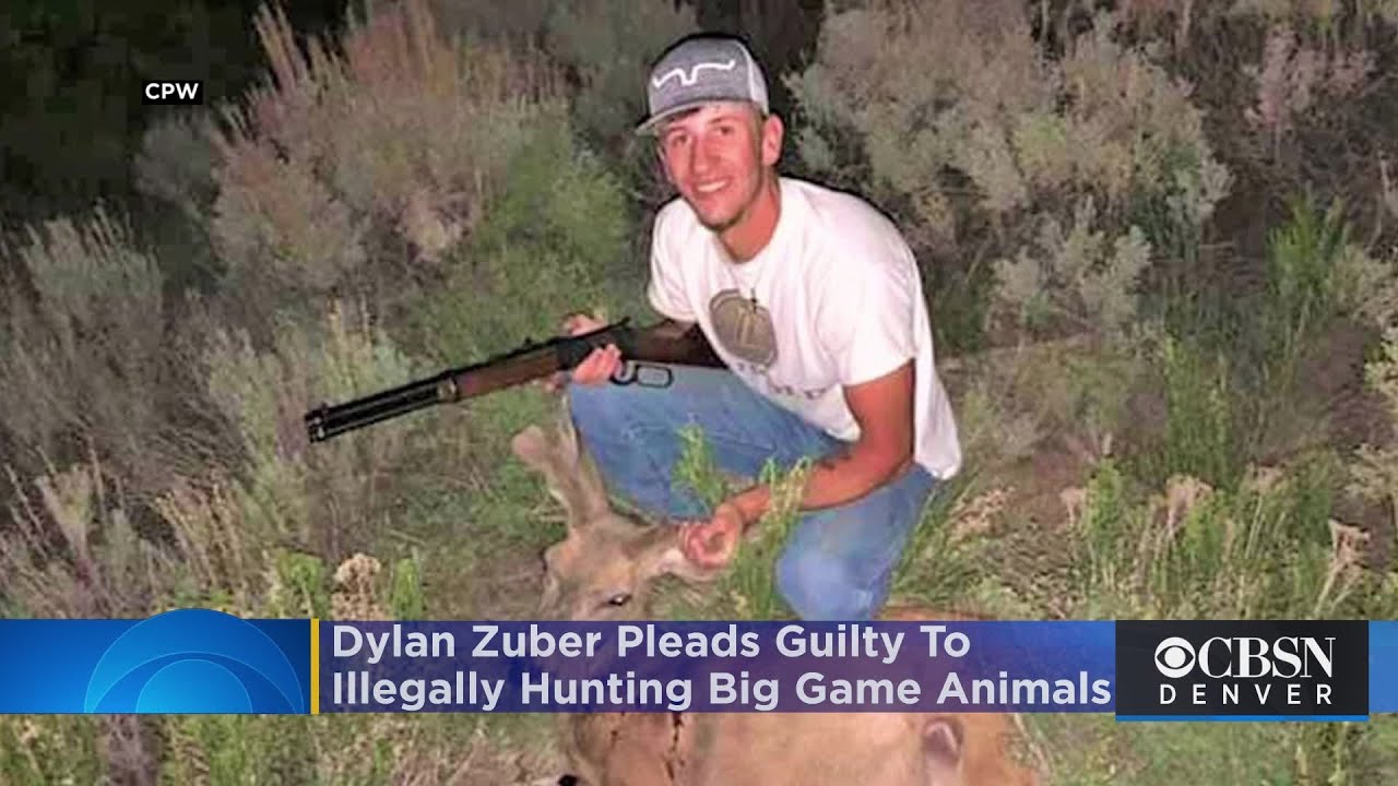 Dylan Zuber Pleads Guilty To Illegally Hunting Big Game Animals After Colorado Poaching ...