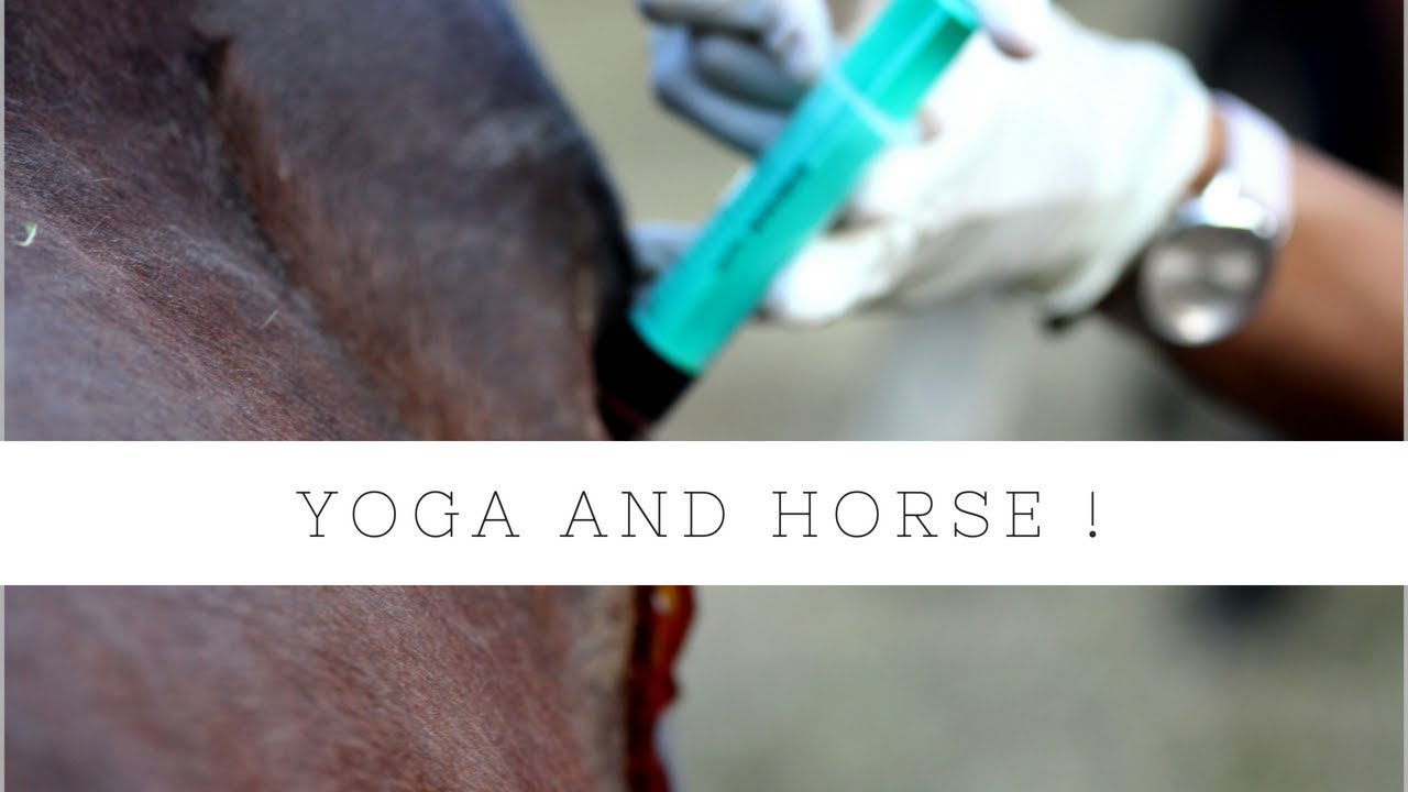 Azaleh | Moonlight - YouTube