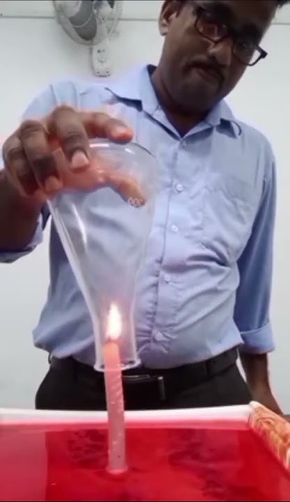 #346 #Rising water - Science Experiment #why does water rising up #scienceexperiment #ytshort # ...