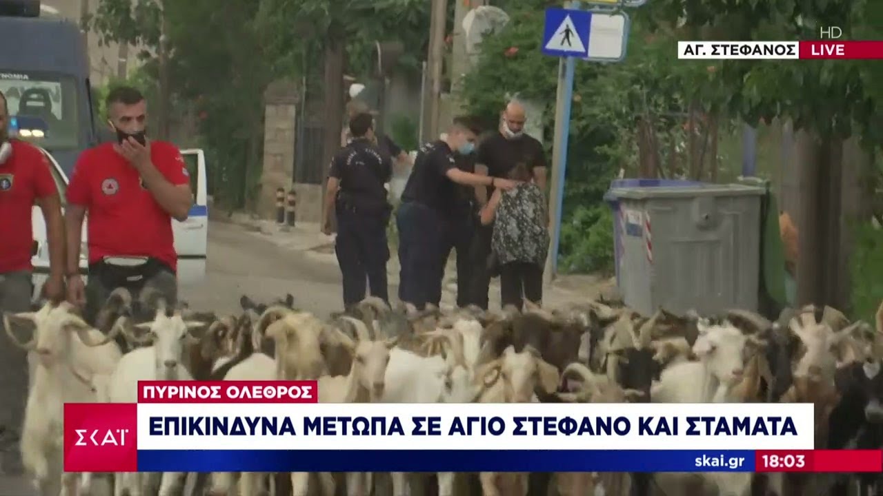 Έκτακτη Επικαιρότητα | Οι φλόγες πλησιάζουν τα σπίτια - Διώχνουν τους ...