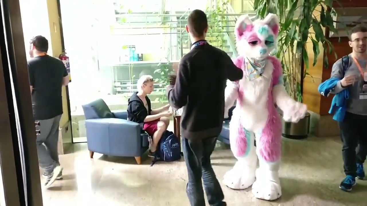 Quartz Husky Directs People To The Right Door - YouTube