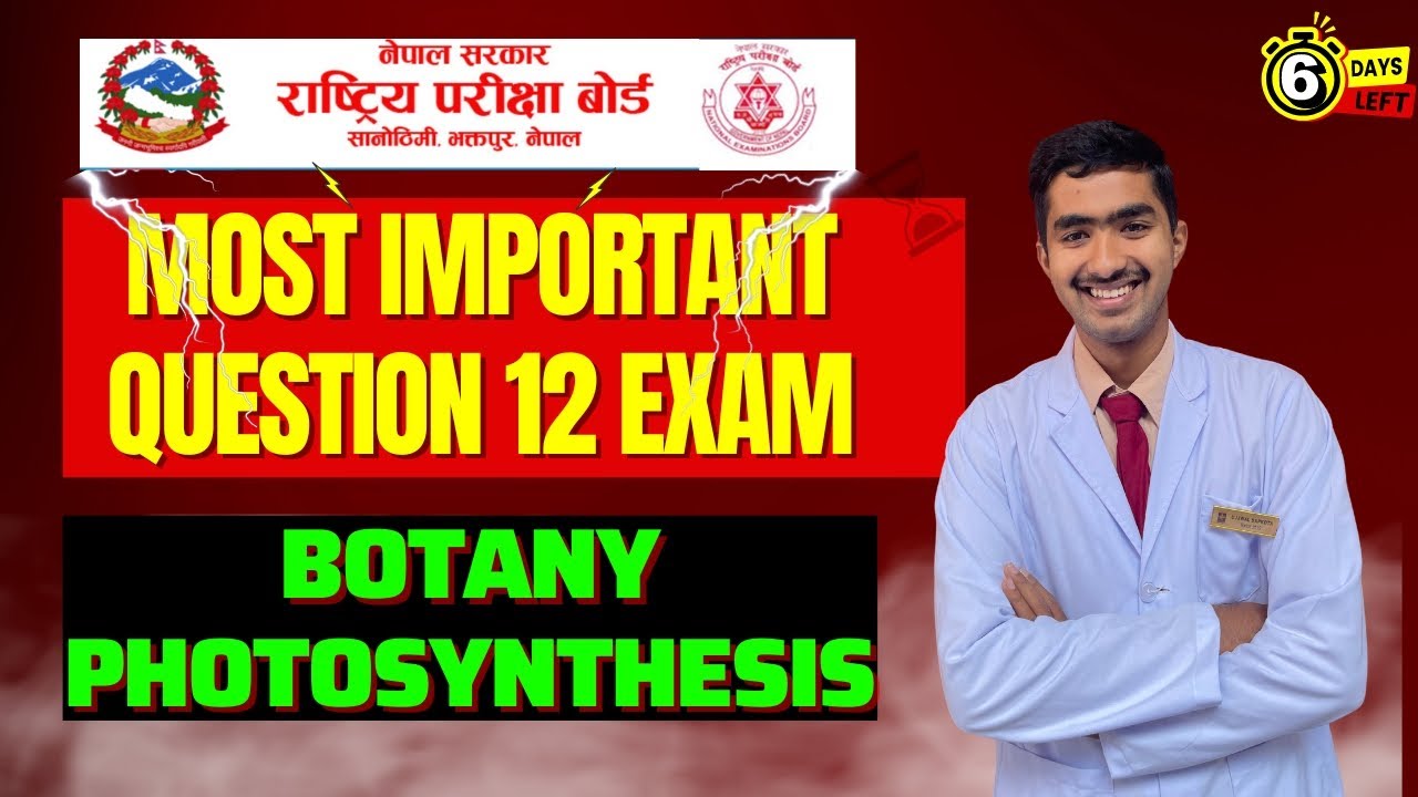 Most Important Question of Photosynthesis |Botany Class 12 NEB Plant ...