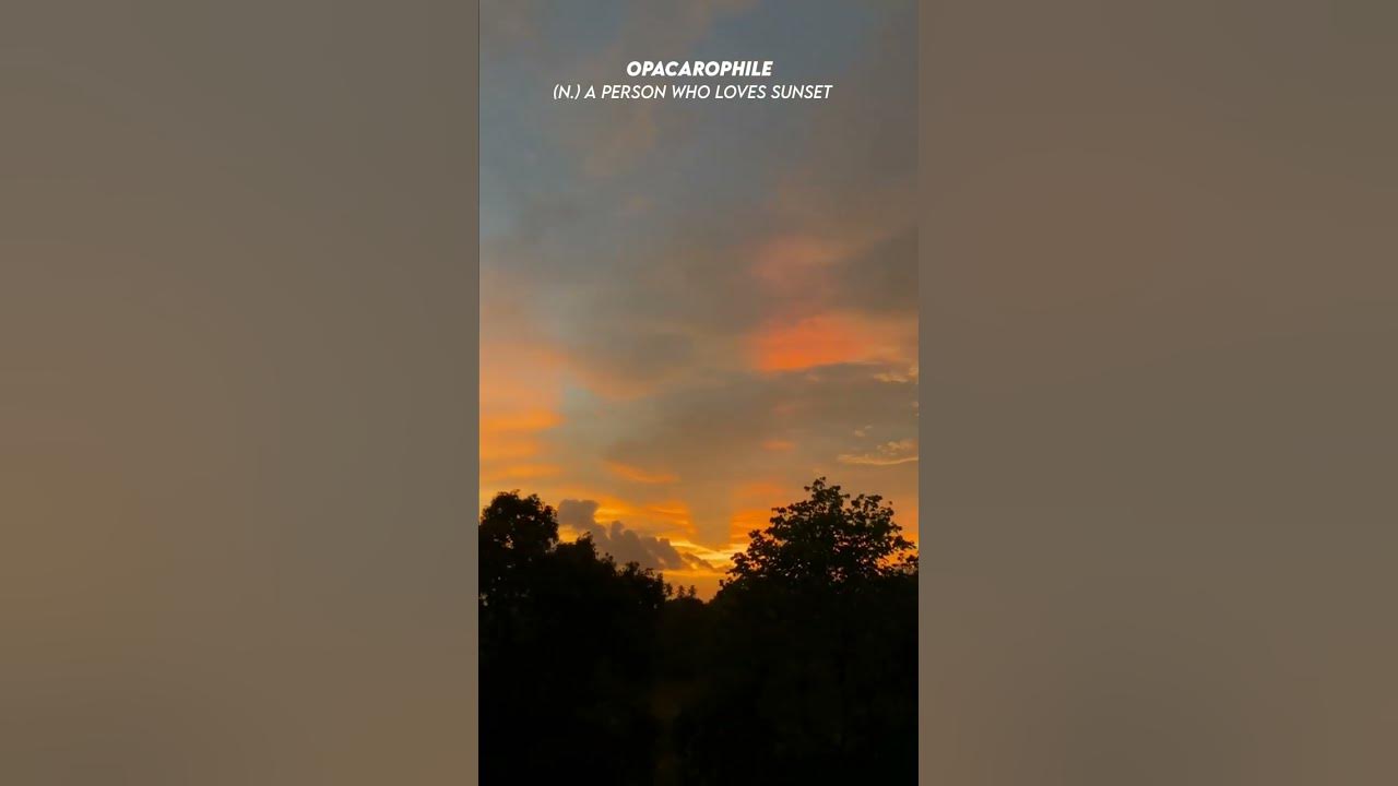 Opacarophile A Person Who Loves Sunset YouTube opacarophile-a-person-who-loves-sunset-youtube