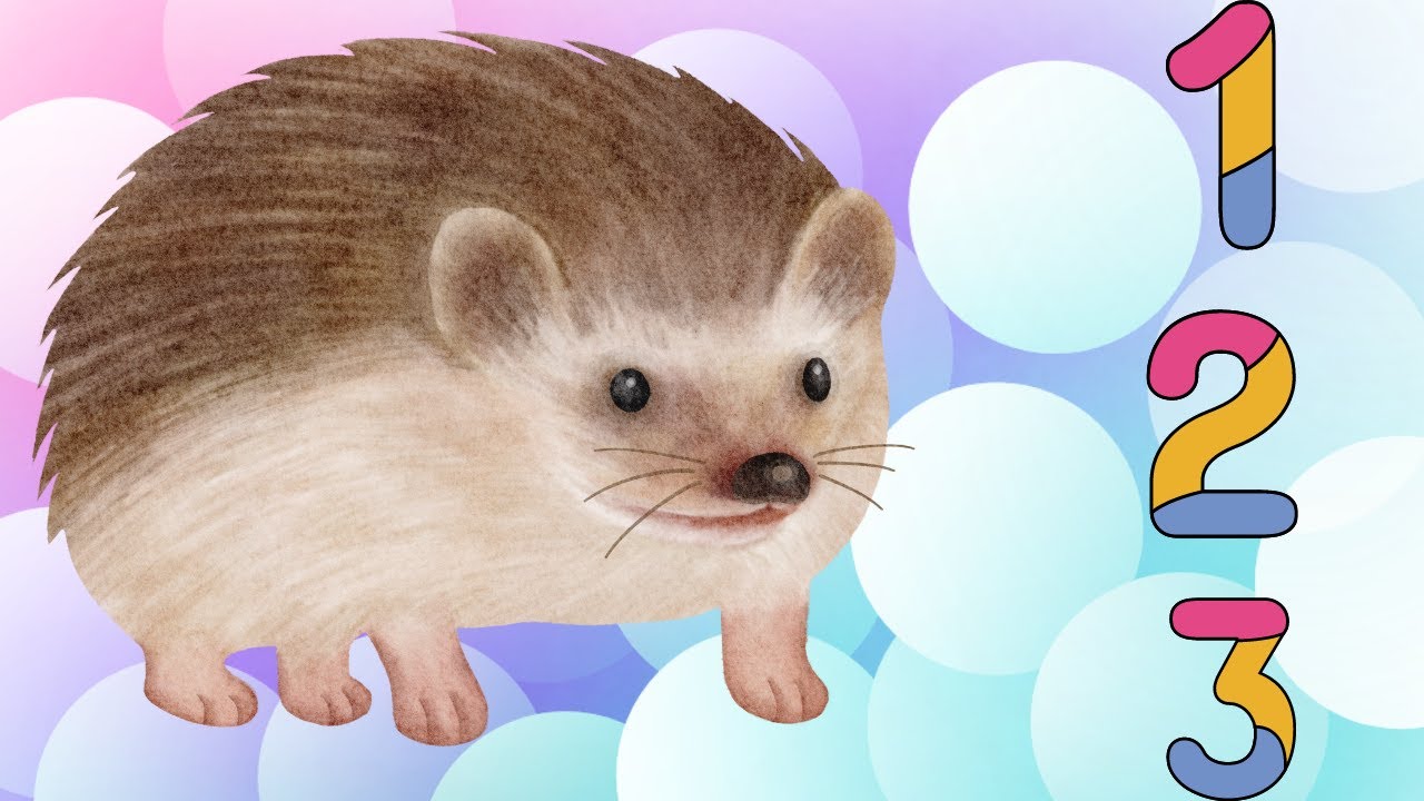 Learn Numbers / 123 Number Names / 1234 Numbers for Kids / counting ...