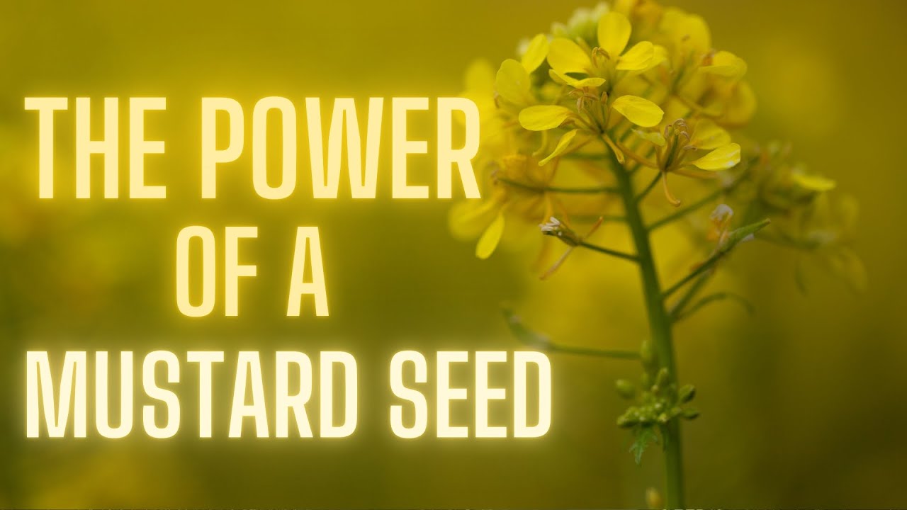 August 31, 2024. Kevin McGill - The Power of a Mustard Seed - YouTube