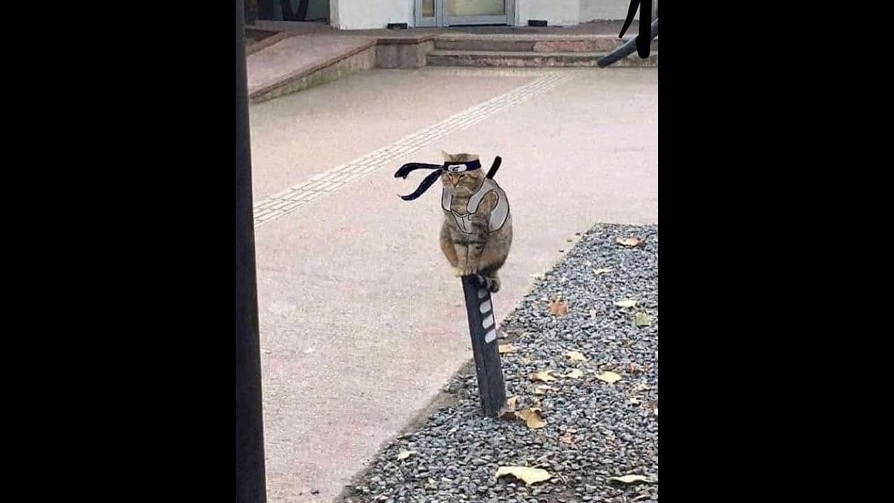 rarararara || VALORANT || MOBILE LEGEND || INDOPRIDE - YouTube