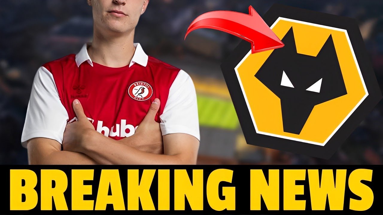 🐺🚨URGENT THIS IS OUT NOW SECOND WOLVES REINFORCEMENT? LAST NEWS WOLVES ...