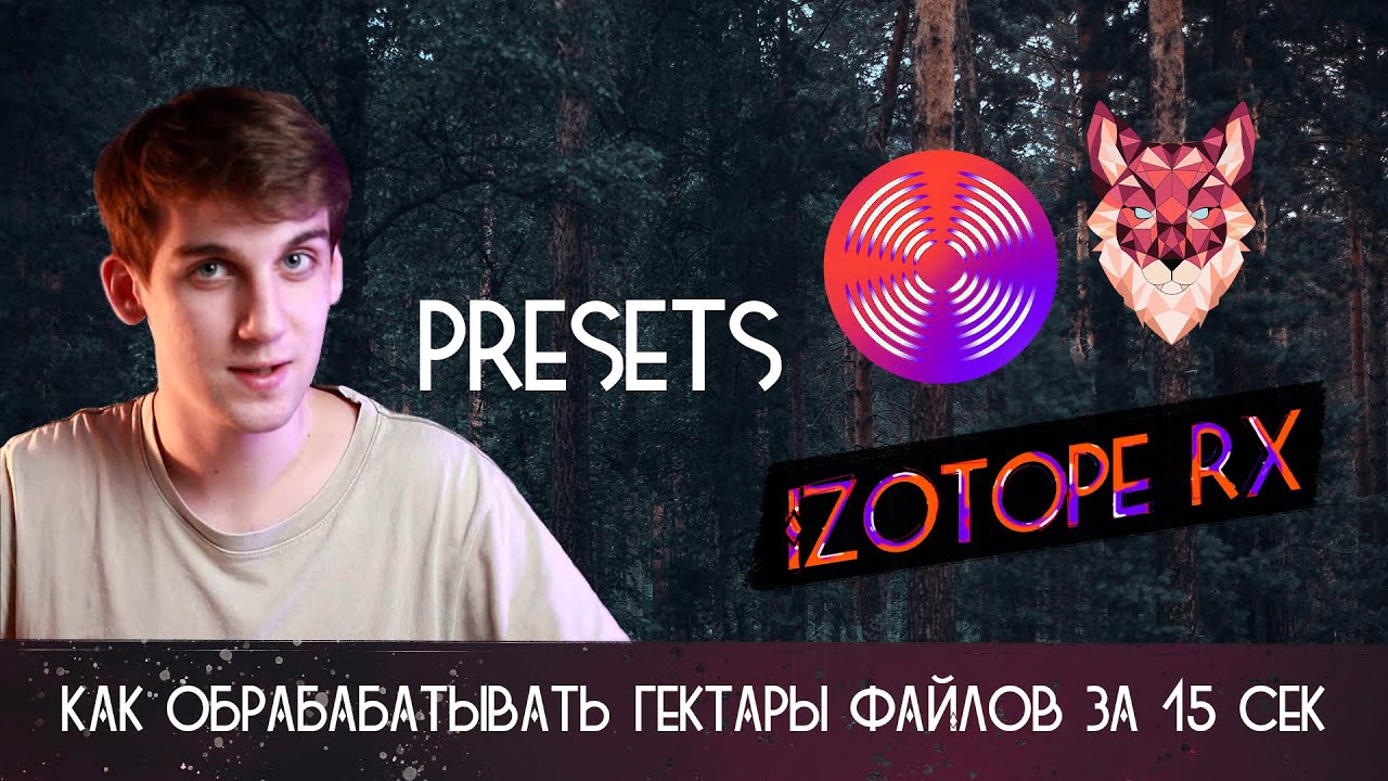 Делаем жизнь проще | Пресеты и Пакетная Обработка в IZotope RX 9 | Module Chain | Batch ...