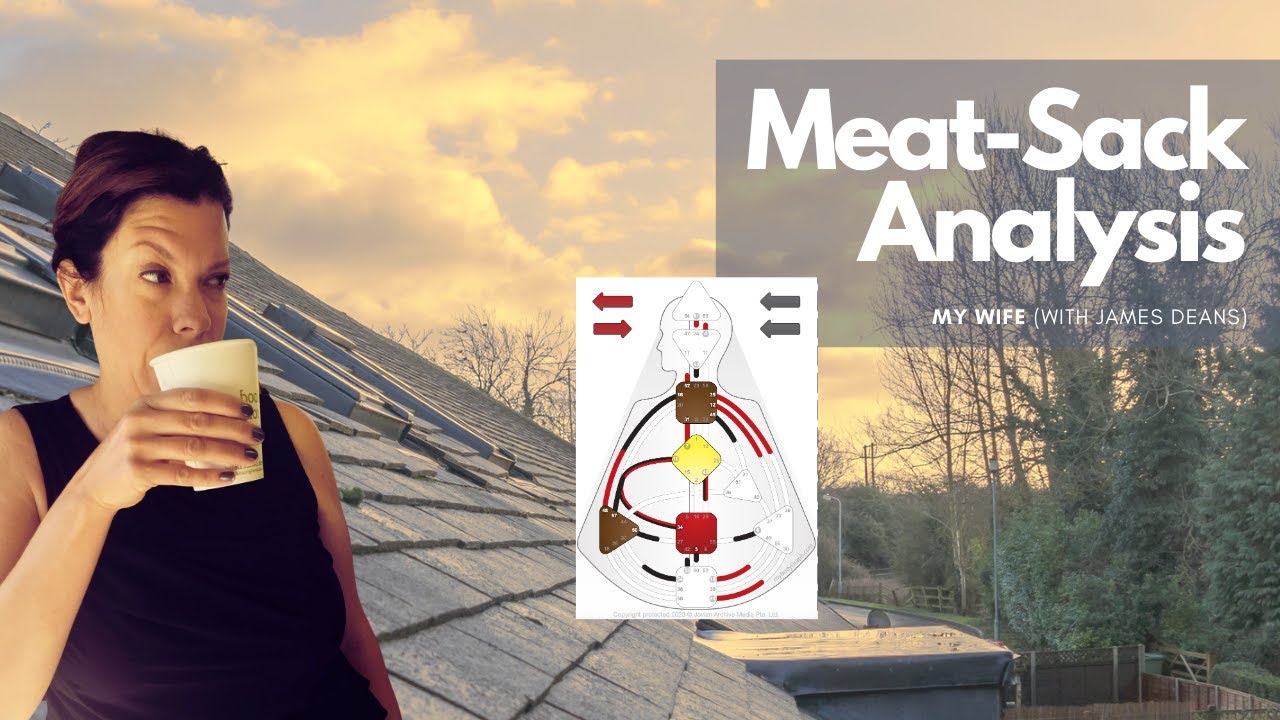 Mystery Meat-Sack Analysis - The Human Design of My Wife (Gulp) with ...