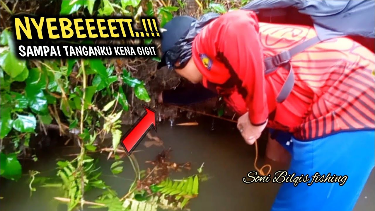 LAMA TIDAK MANCING BELUT, SEKALI MANCING TIDAK LAMA SUDAH DAPAT || EEL FISHING - YouTube