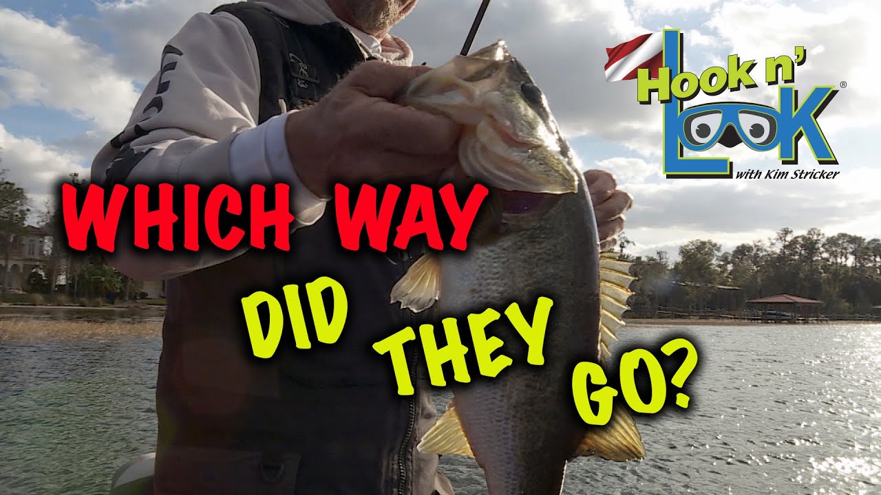 Which Way Did They Go? - YouTube