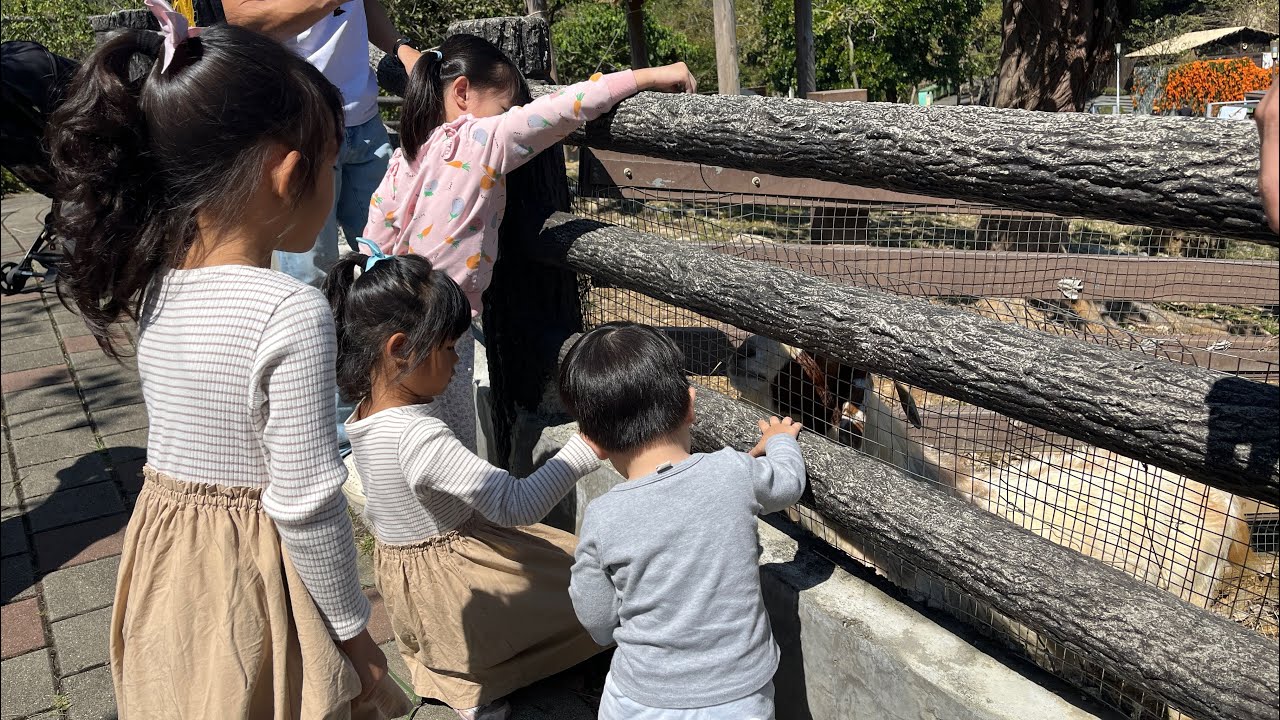 2025 高雄壽山動物園｜Kaohsiung ShouShan Zoo - YouTube