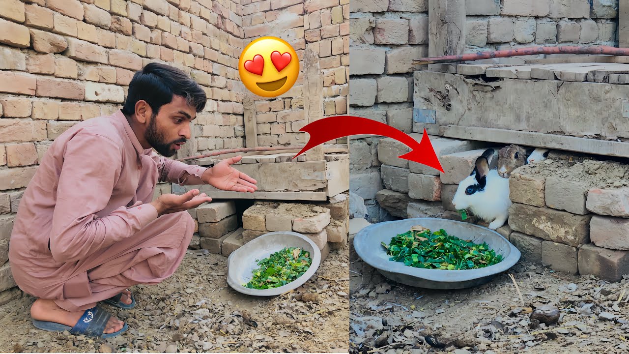 Finally Mud Rabbit House Bn Gea 😍 - YouTube