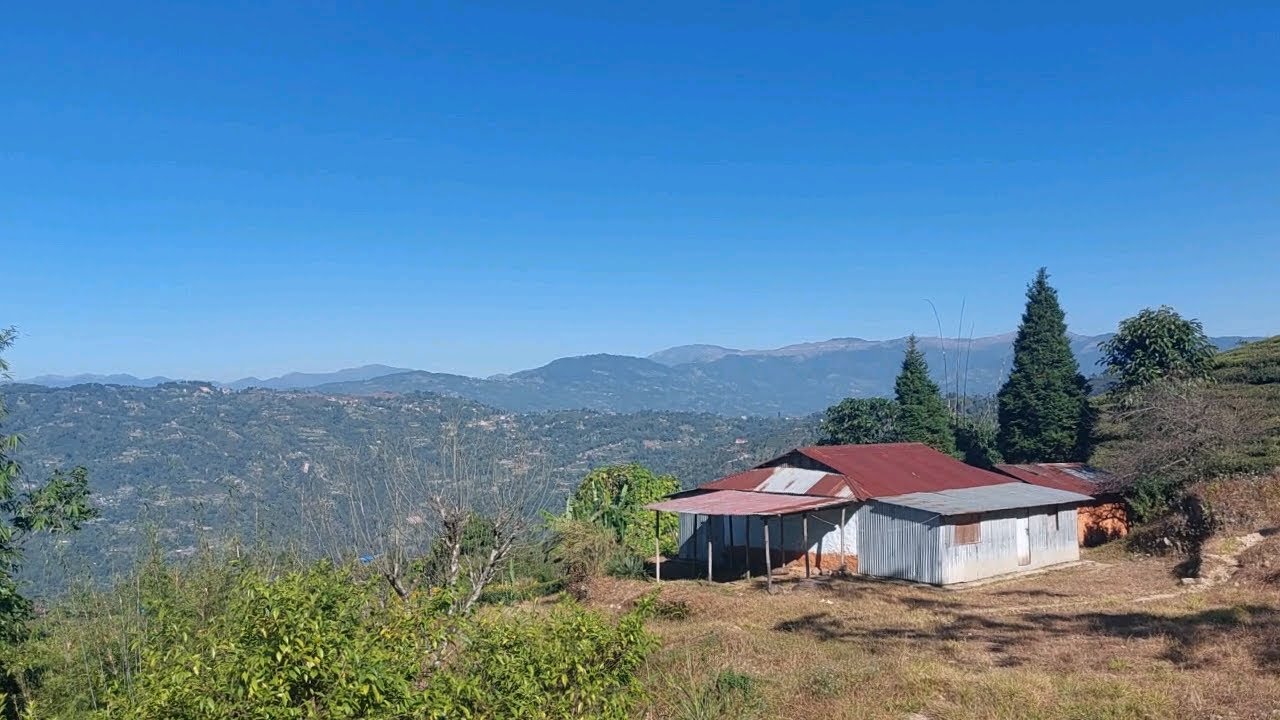 Walking through Beautiful Mountain village- Incredible Tea Farming ...
