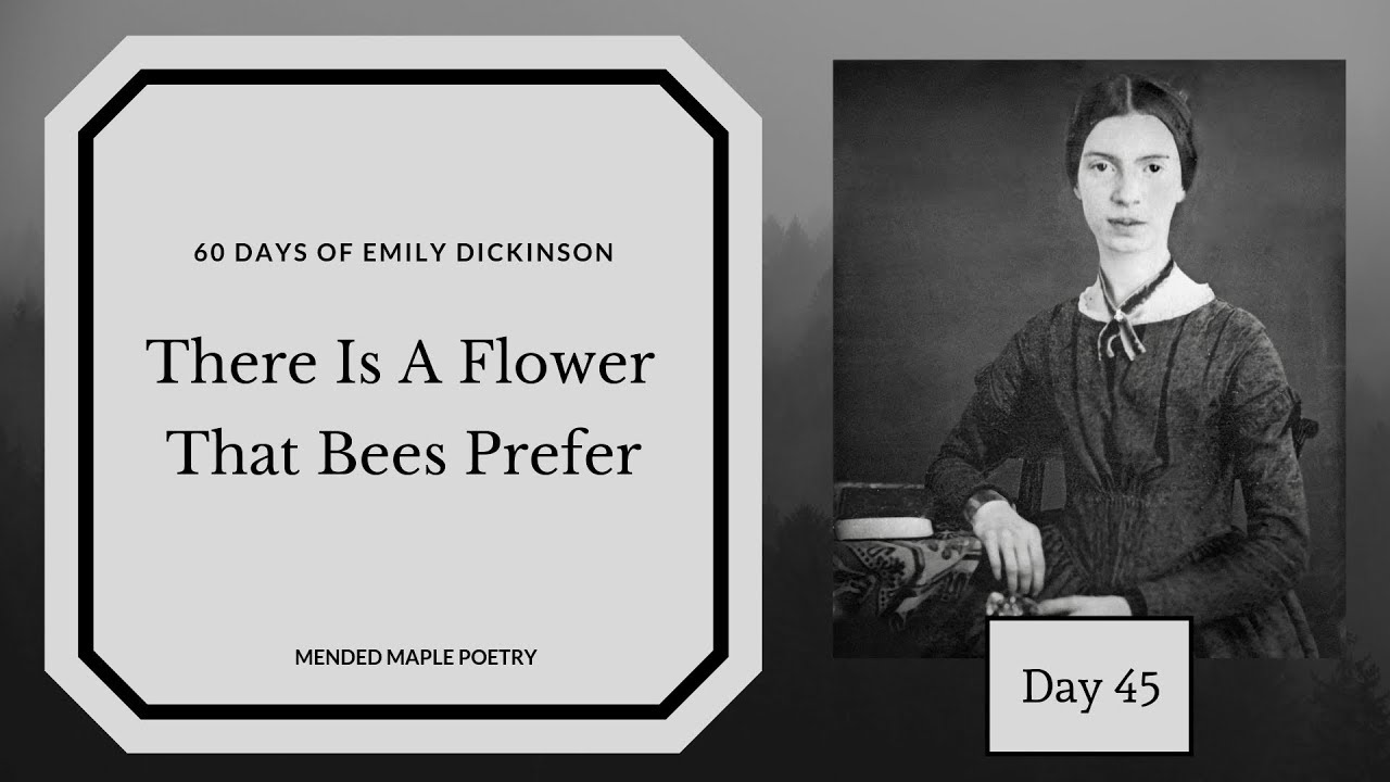There Is A Flower That Bees Prefer by Emily Dickinson-poetry reading ...