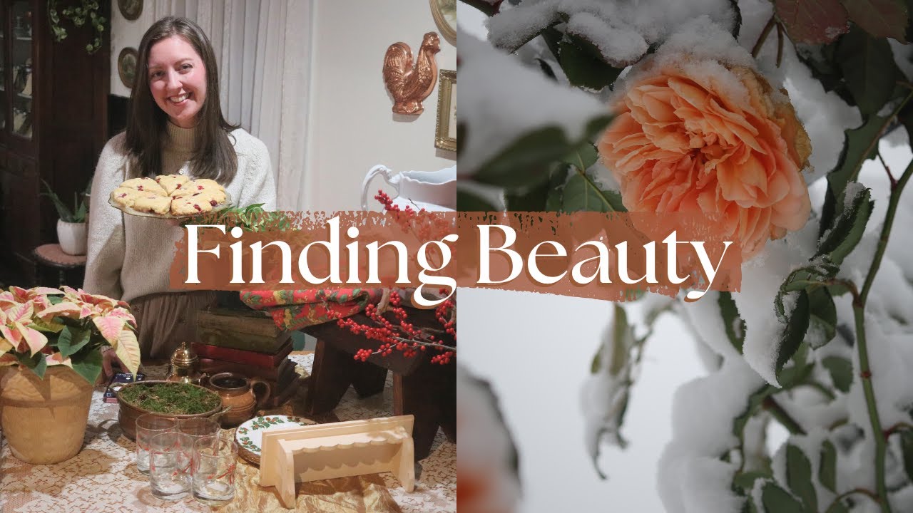 Winter Homemaking | Thrift Haul, Winter Blooms and Scratch Baking ...