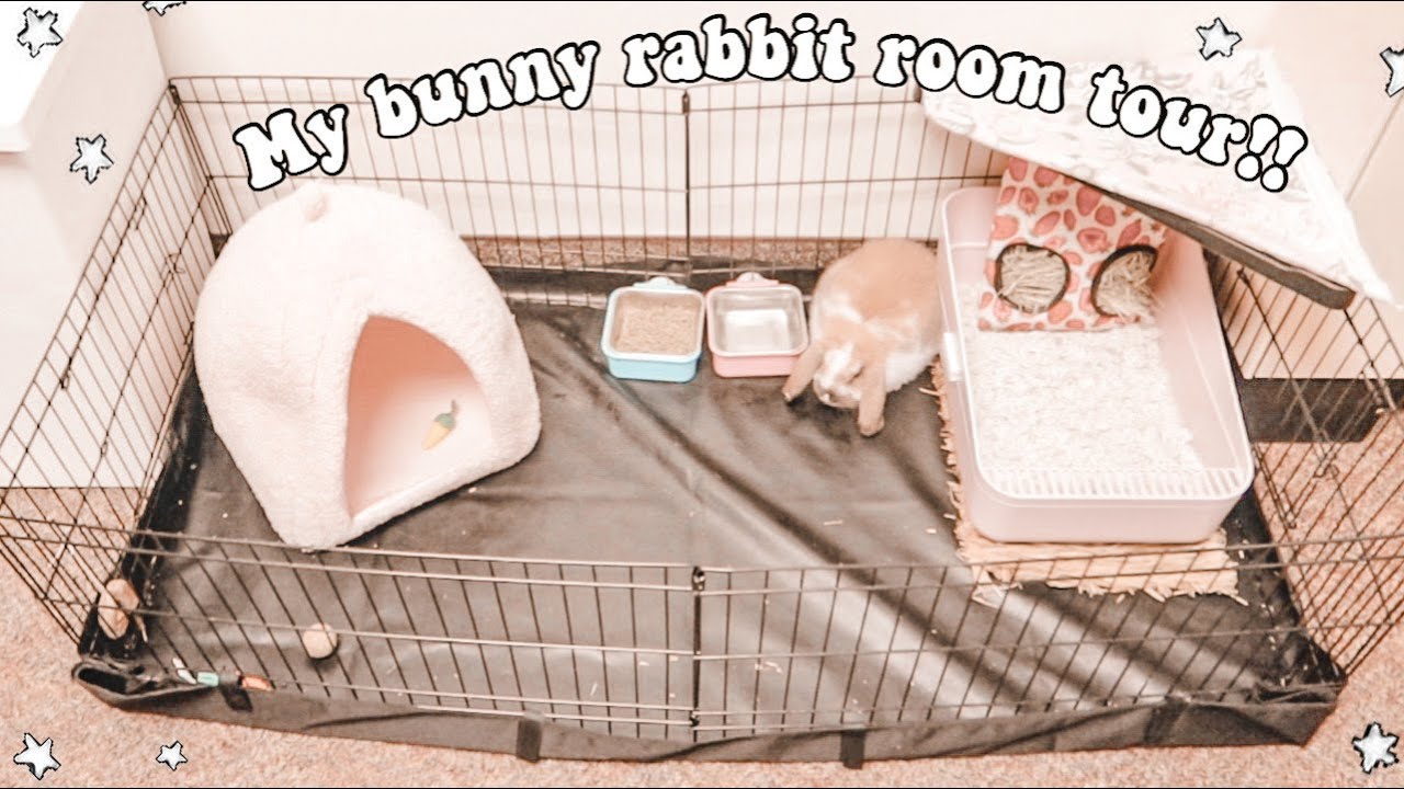MY PET BUNNY RABBIT ROOM TOUR!! - YouTube