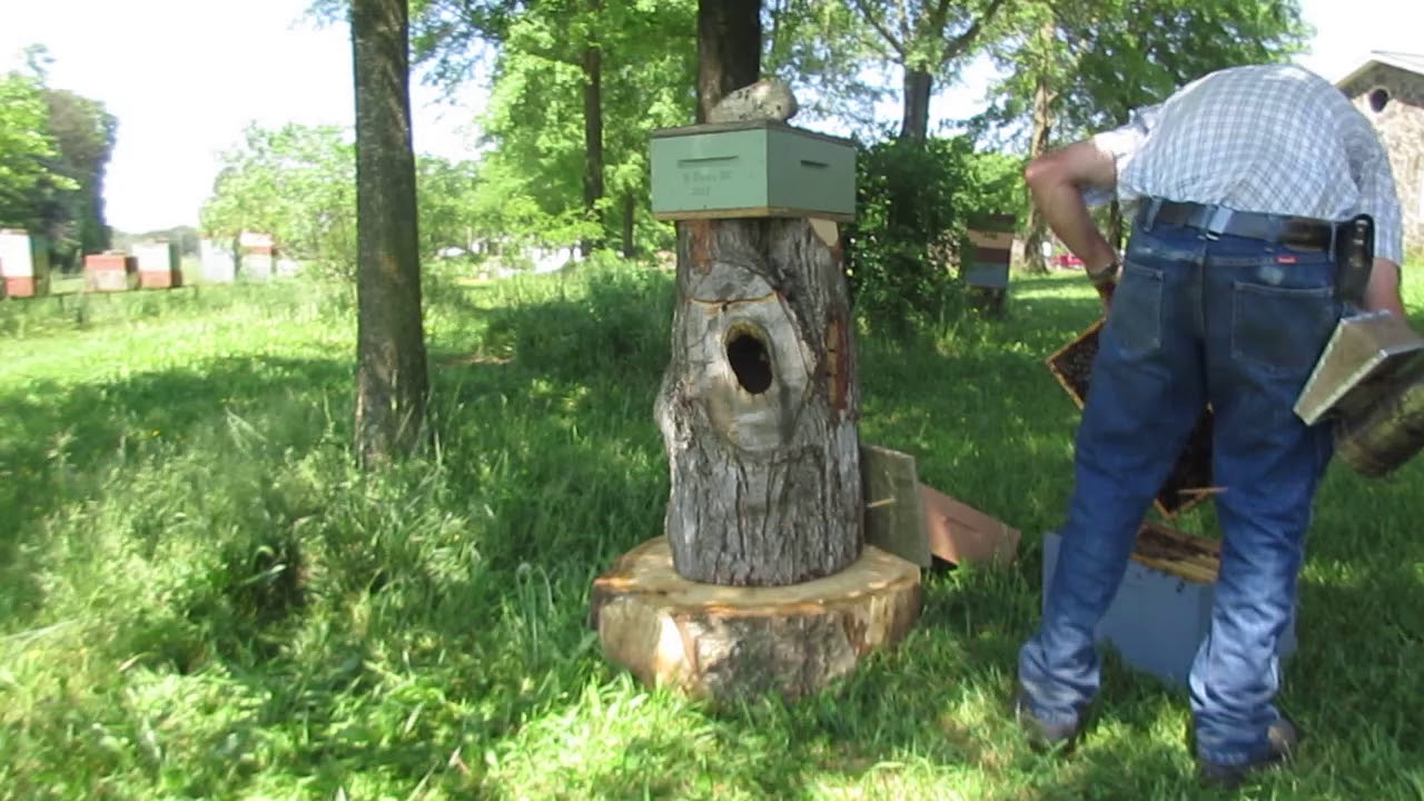 Populating buggy tree see description. - YouTube