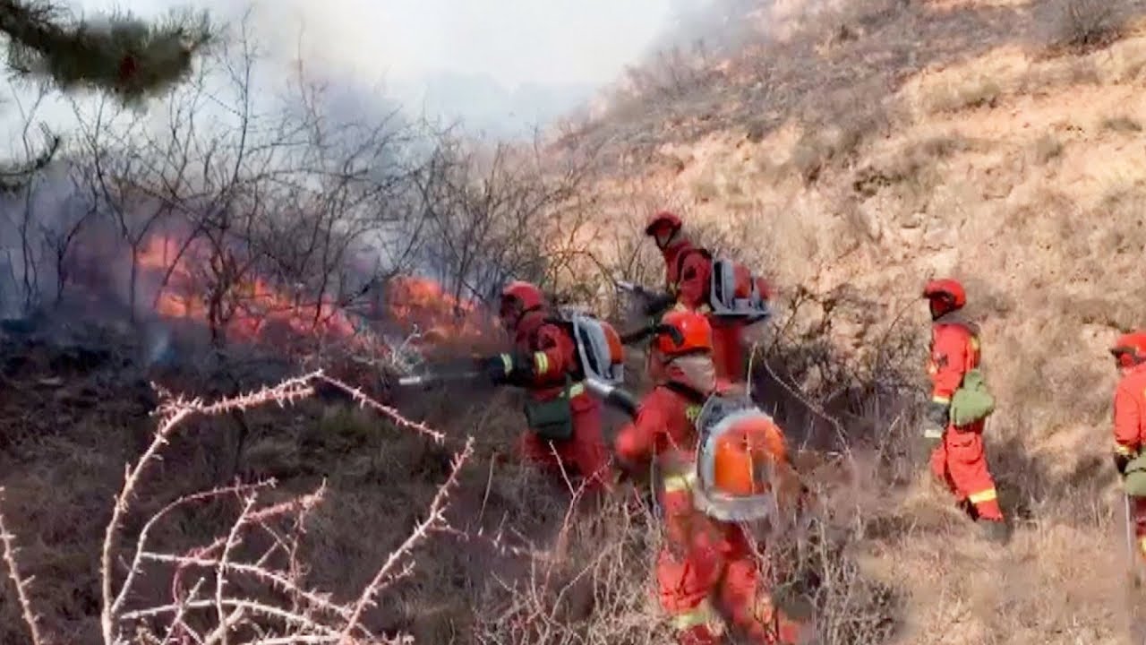 Over 4,600 locals relocated after forest fire hits north China county ...