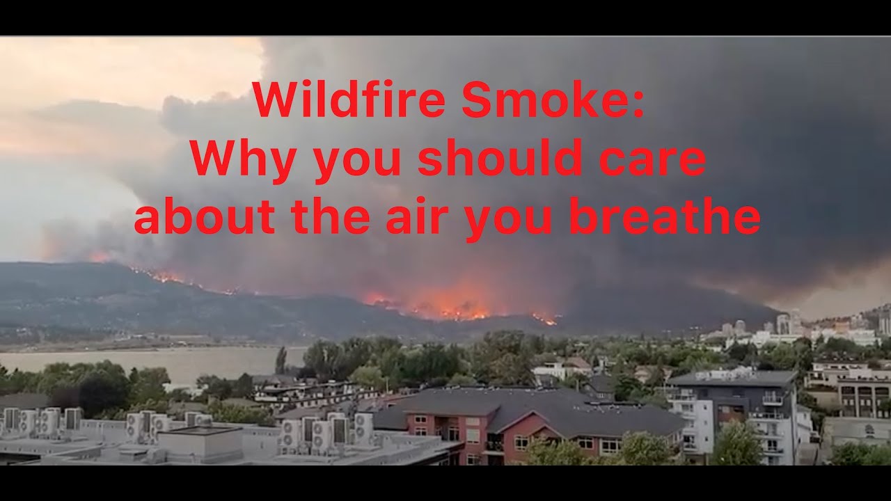 Wildfire Smoke and your Health