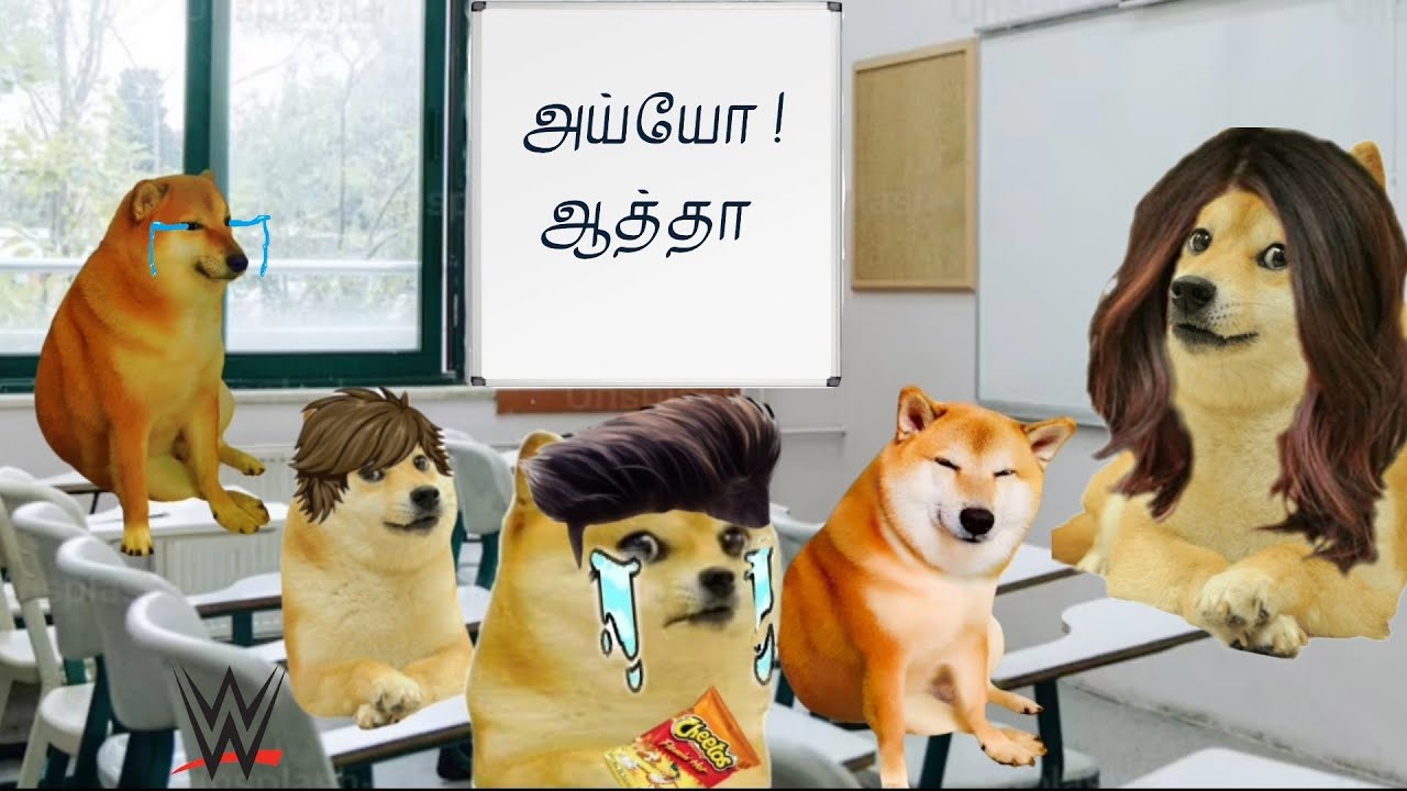 cheems fun |voyage 3star|comedy video - YouTube