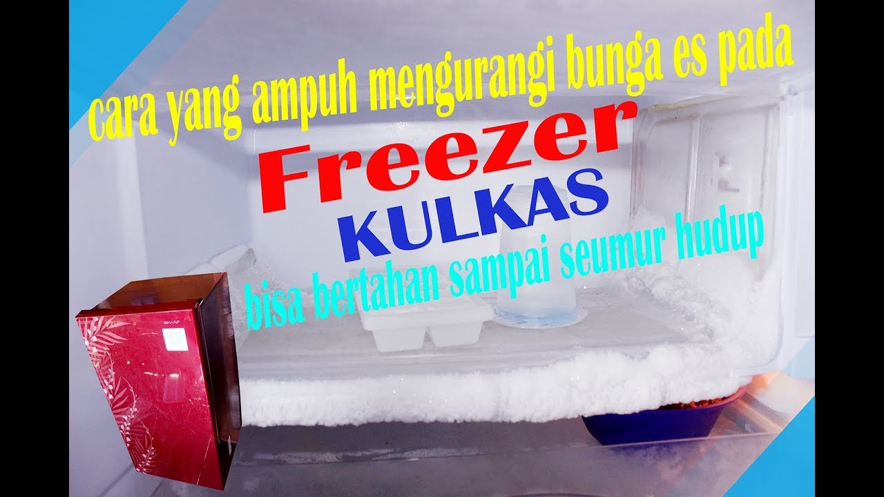 WAJIB TAHU. INILAH CARA YG PALING AMPUH MENGURANGI BUNGA ES PADA ...