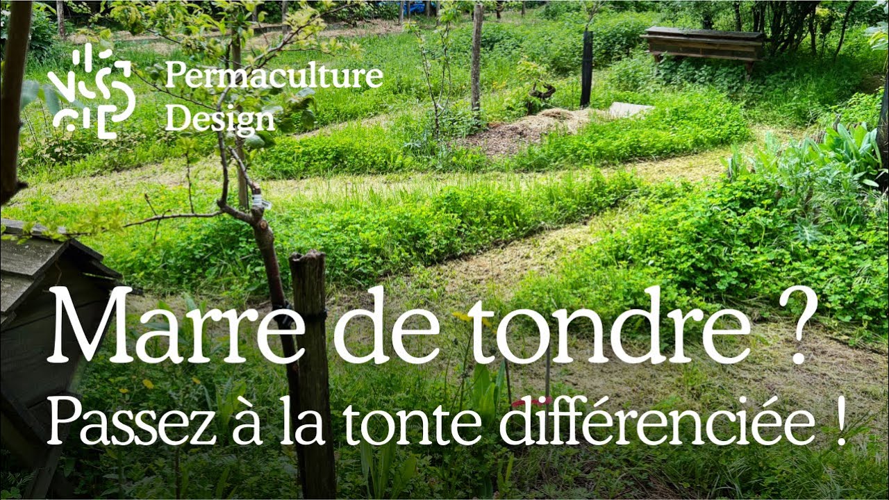 Tonte différenciée, ou l’art de ne (presque) plus tondre sa pelouse ...