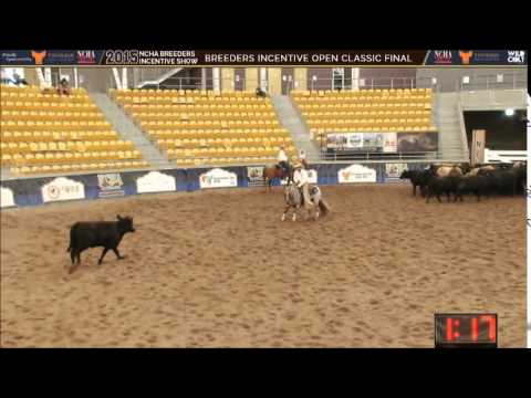 NCHA 2015 Breeders Incentive. Open Classic Final, Koonamara Spoonfula ...