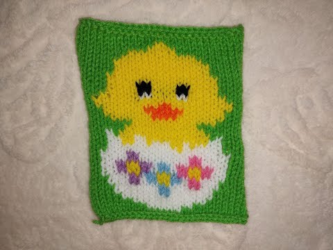 Knitting A Chick in Egg