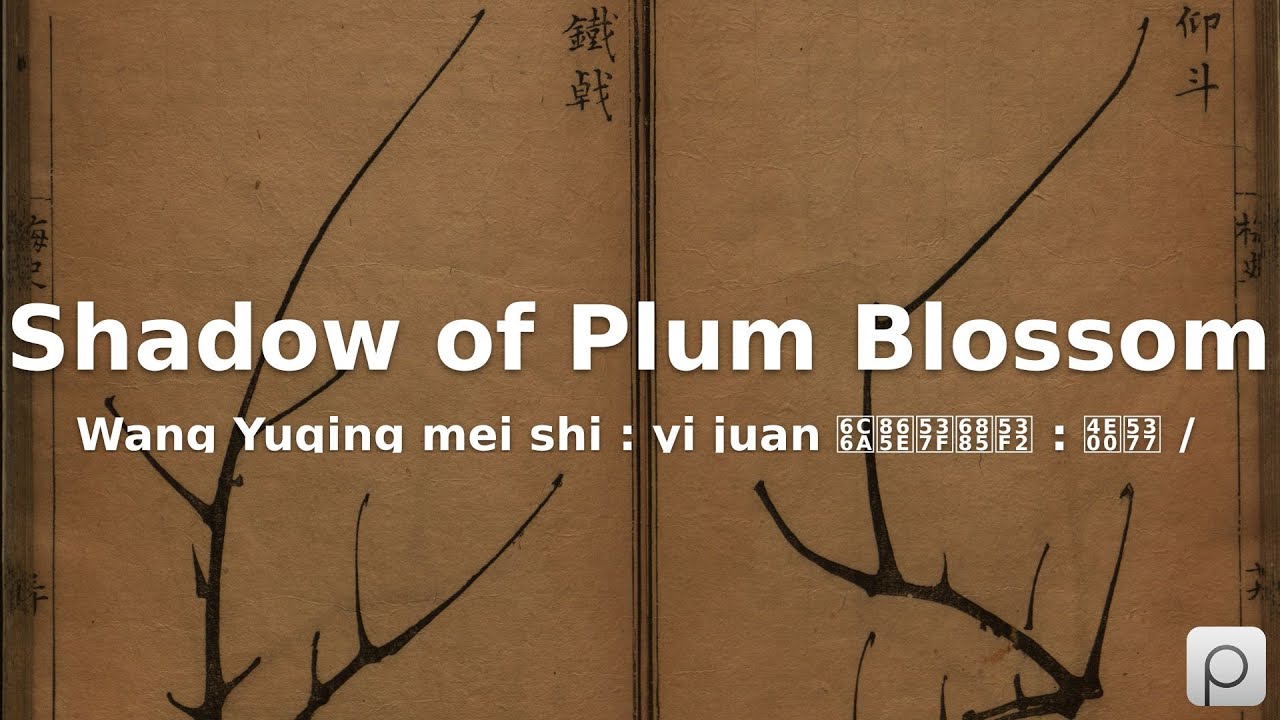 Shadow of Plum Blossom. Find public domain images of Shadow of Plum ...