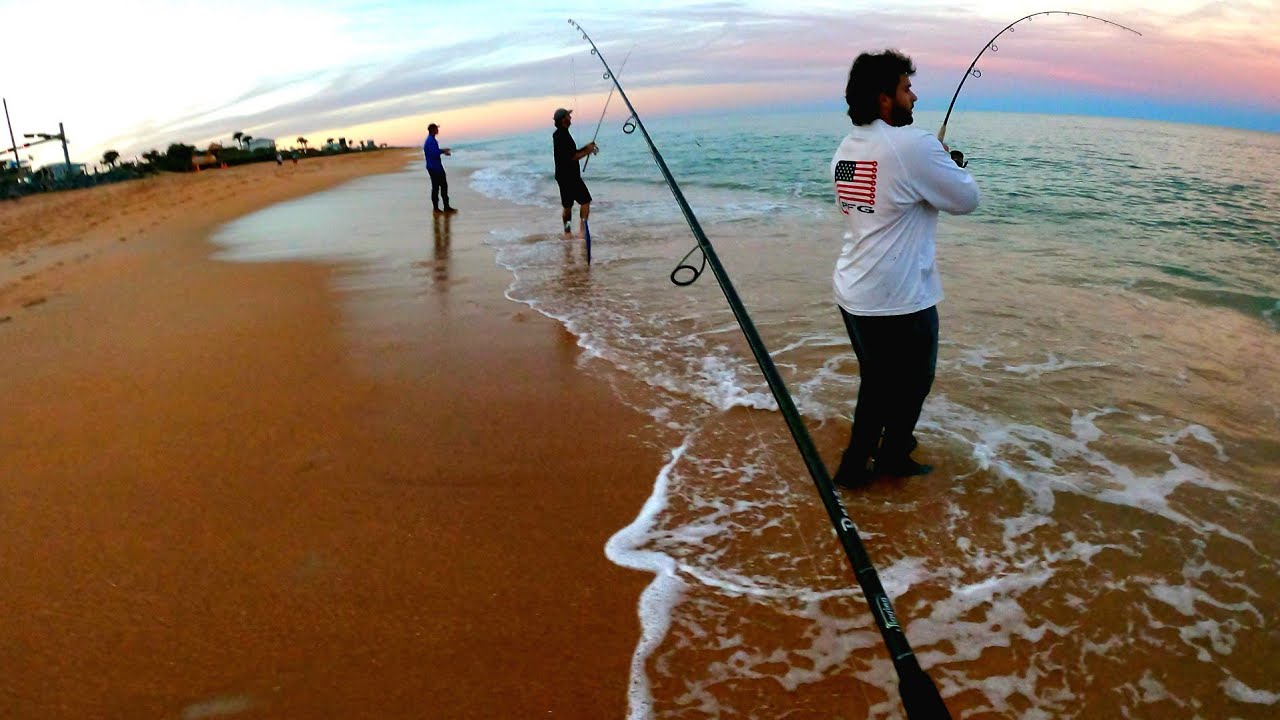 Huge Bluefish run at Flagler Beach - YouTube