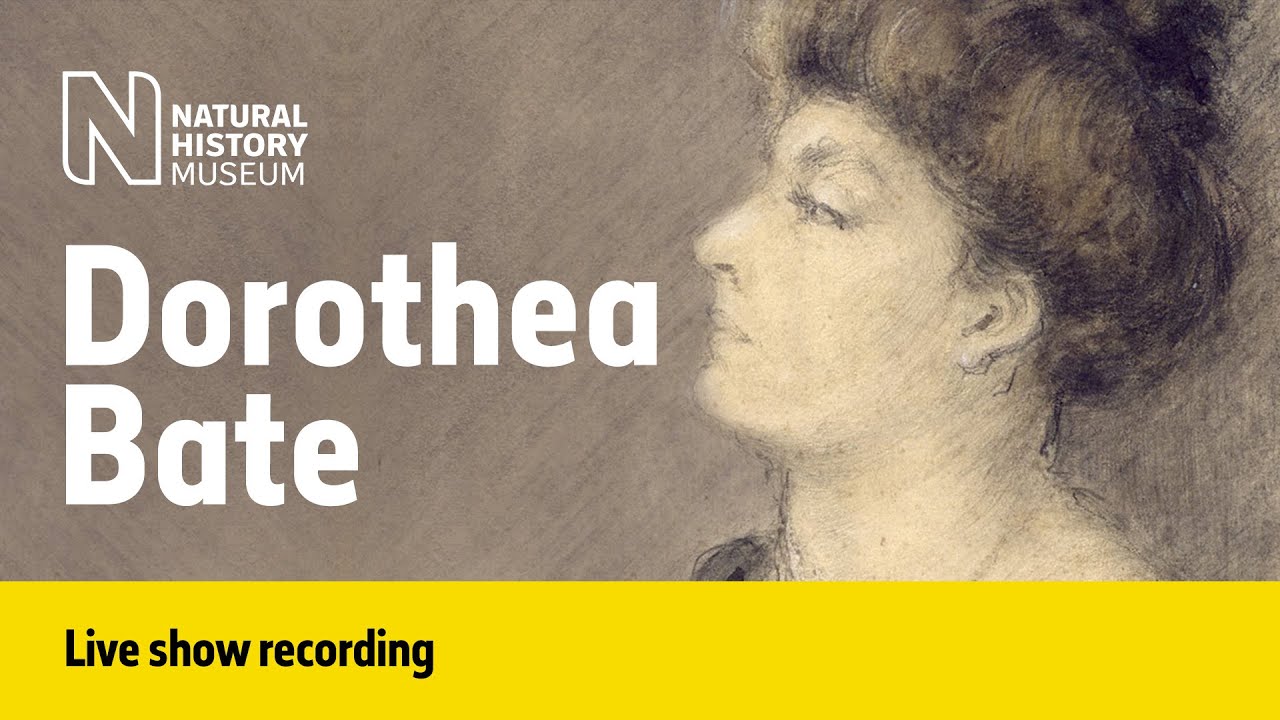 Discovering Dorothea Bate | Live Talk with NHM Scientist - YouTube