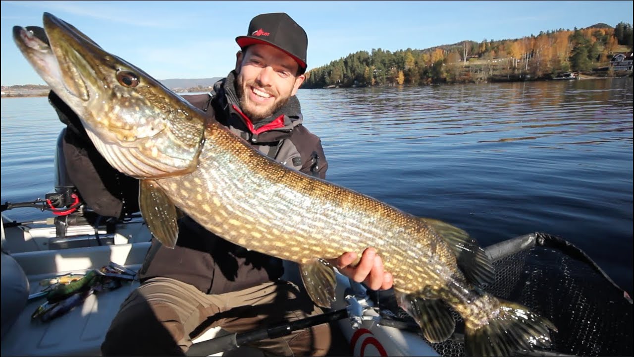 Schleppen auf Hecht mit Side Planern - YouTube