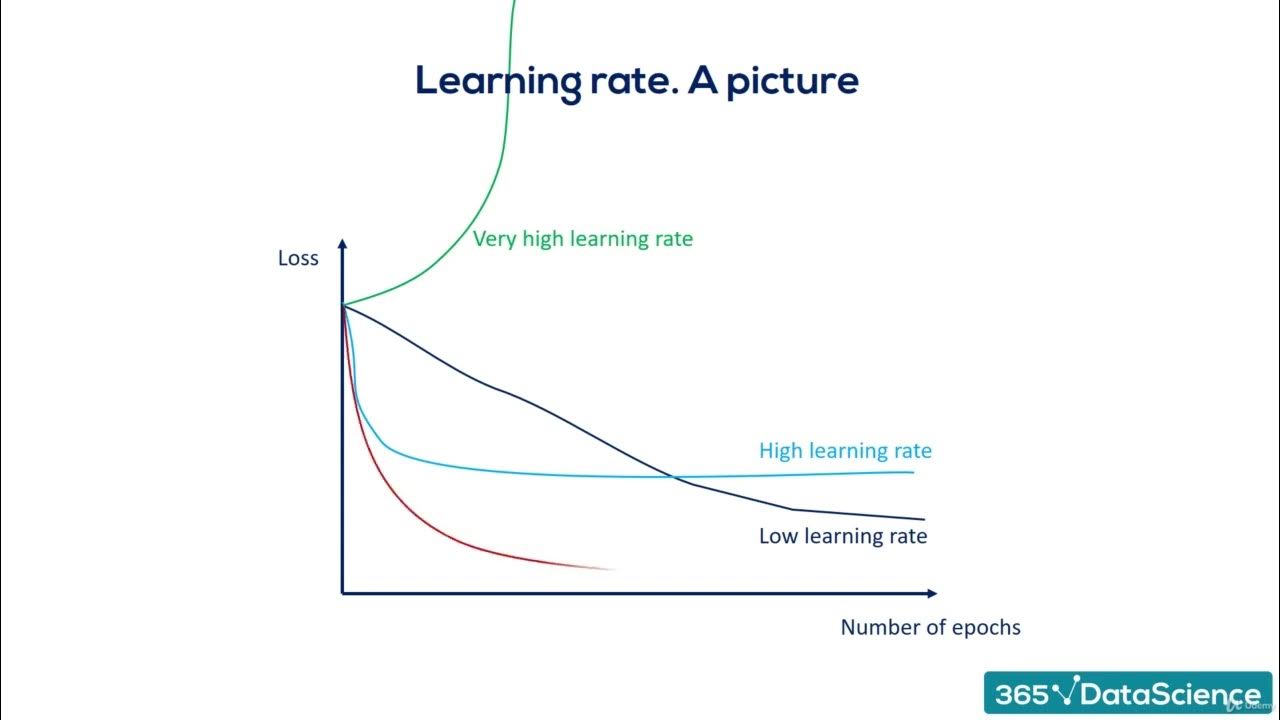 262 Learning Rate Schedules Visualized (DEEP LEARNING - GRADIENT ...
