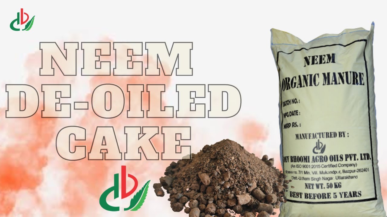 Neem De-Oiled Cake's Manufacturing | Neem Khali | Neem Organic Manure ...