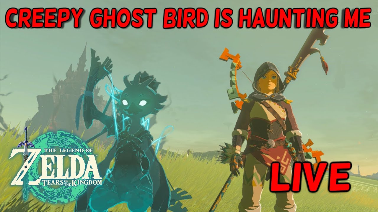 This Creepy Ghost Bird is Haunting Me??? - The Legend of Zelda: Tears ...