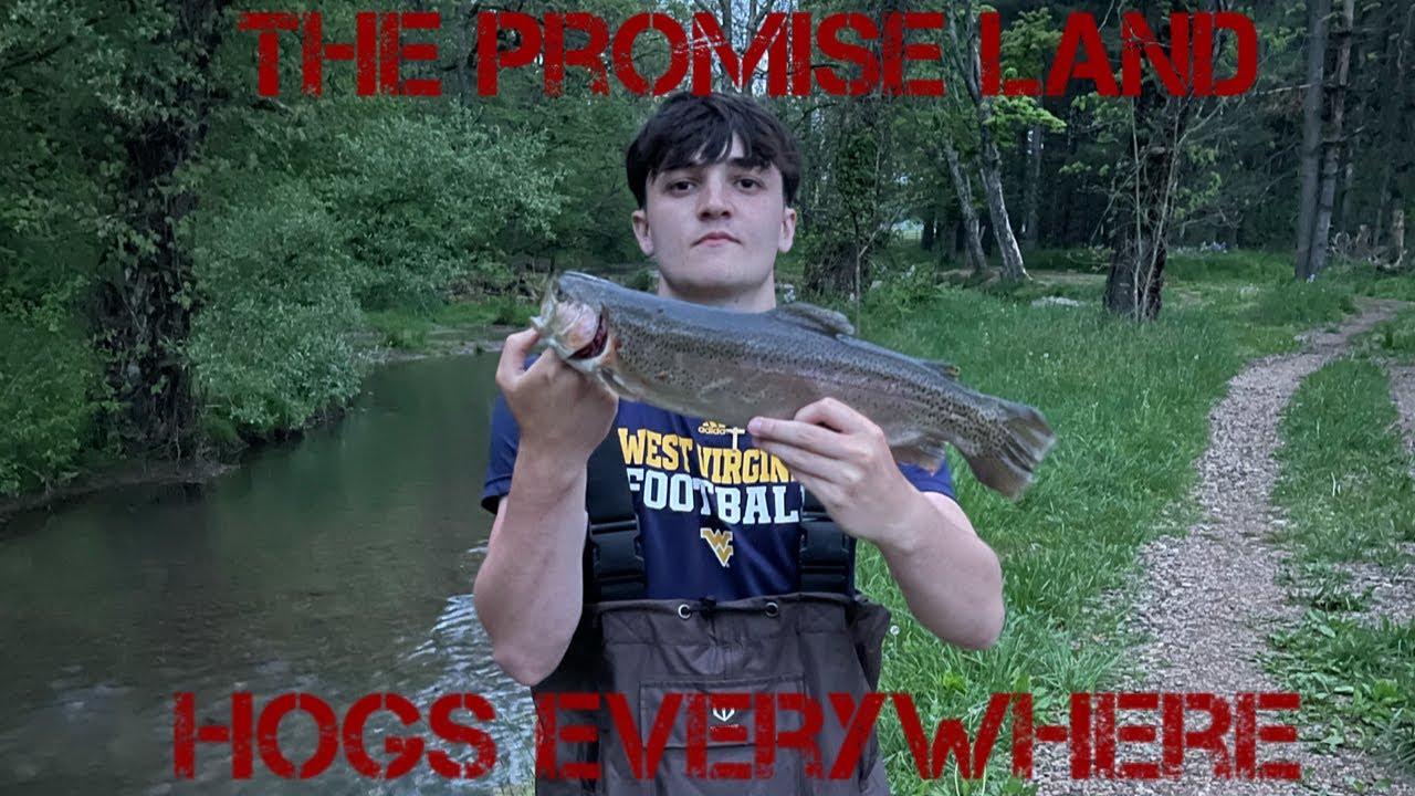 Hogs Everywhere | The Promise Land (Bank Fishing) - YouTube