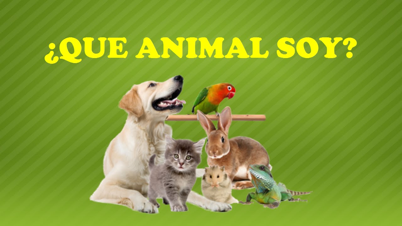 ¿QUE ANIMAL SOY? - YouTube