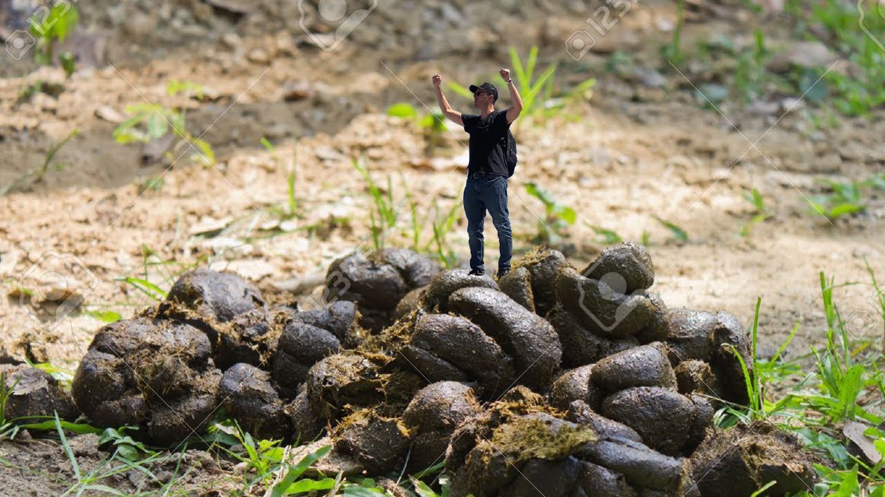 poopy brown - YouTube