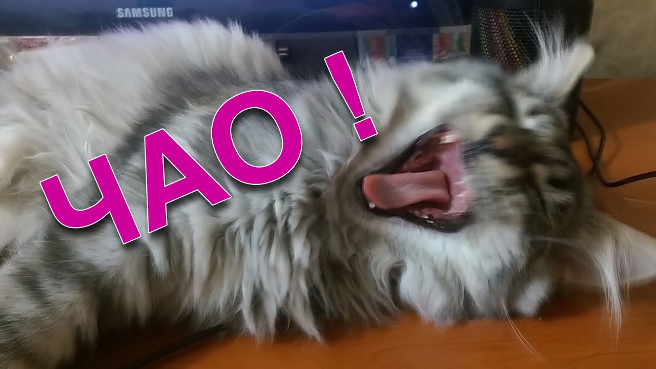 Чао - YouTube