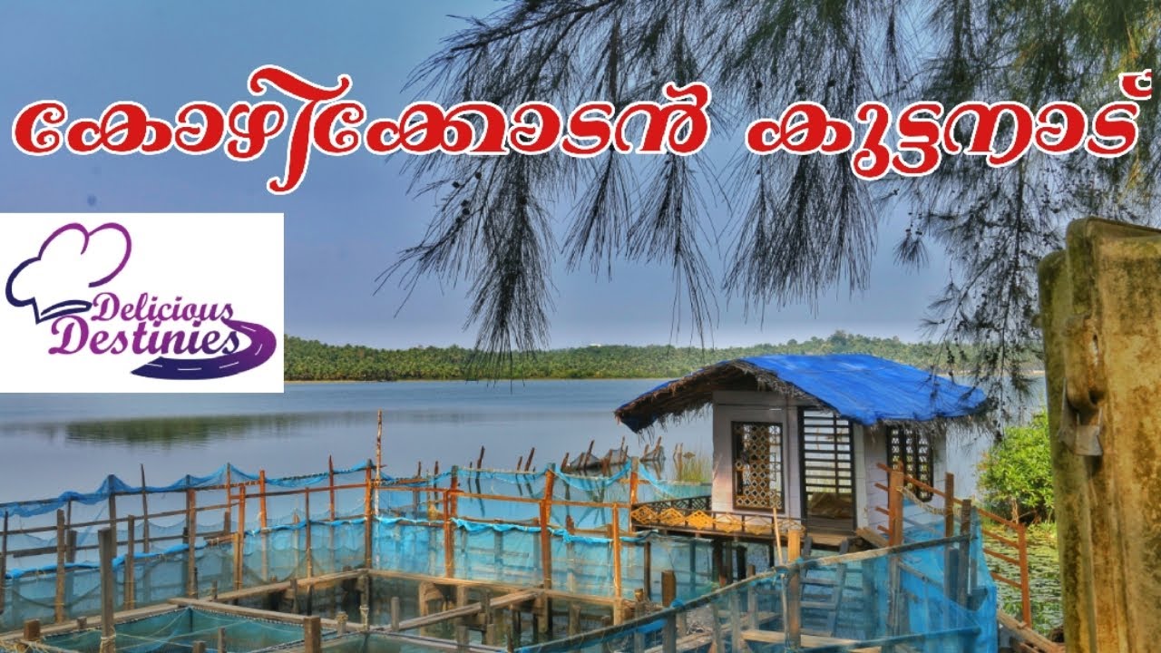| കോഴിക്കോടൻ കുട്ടനാട് | Kozhikodan Kuttanadu | Akalapuzha Tourism ...