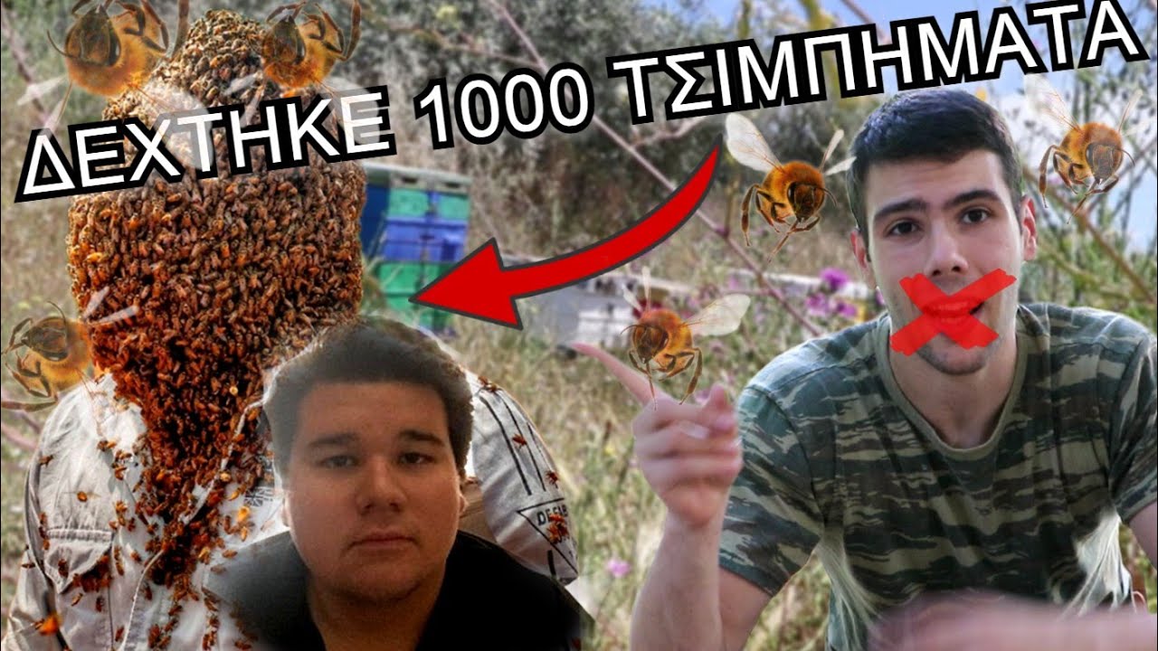 Ο ΧΕΙΡΟΤΕΡΟΣ ΘΑΝΑΤΟΣ ΑΠΟ ΜΕΛΙΣΣΕΣ ΣΤΟ ΚΟΣΜΟ - YouTube