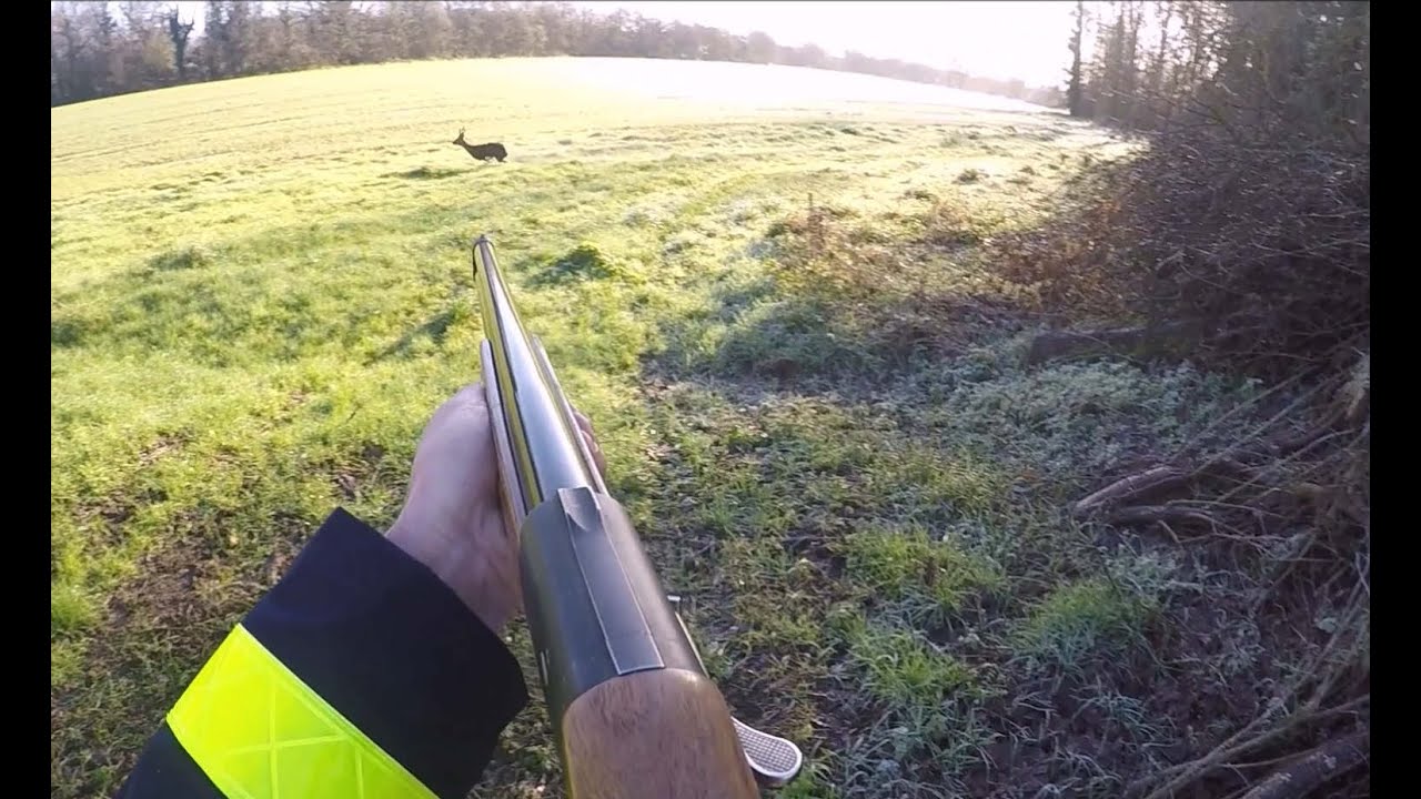 Chasse chevreuil tir de mon premier chevreuil + bonus - YouTube