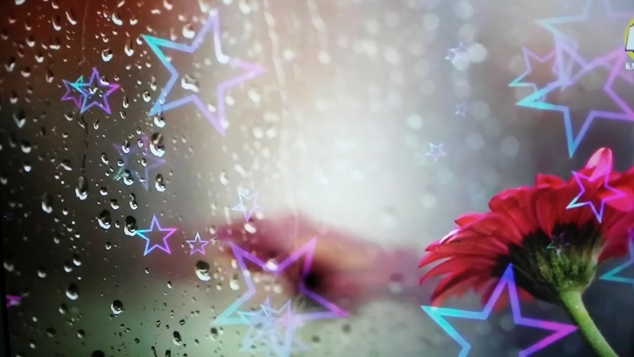 Tieng Hat Chim Da Da. - YouTube