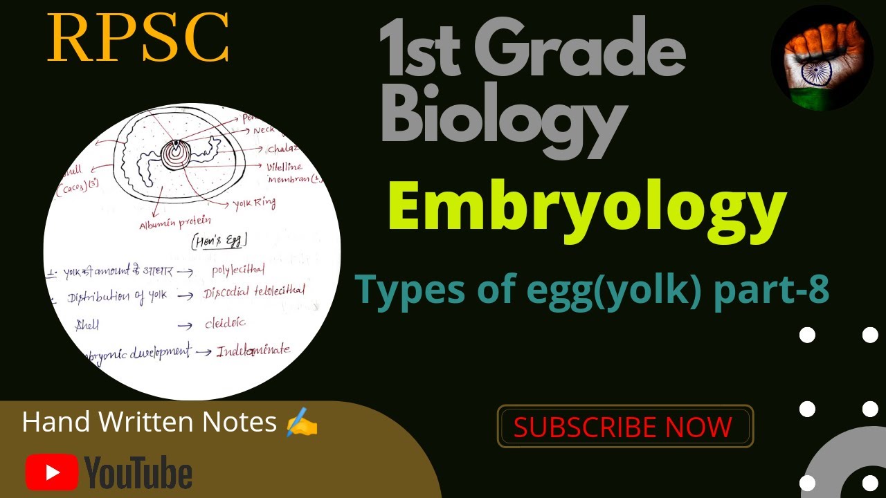 Embryology (types of eggs 🥚)part-8 - YouTube