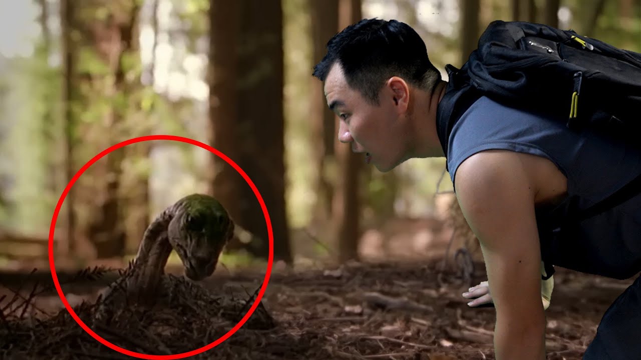 Cutest Baby Dinosaurs | Baby Diplodocus | Dinosaur Adventures | Mr. REX ...