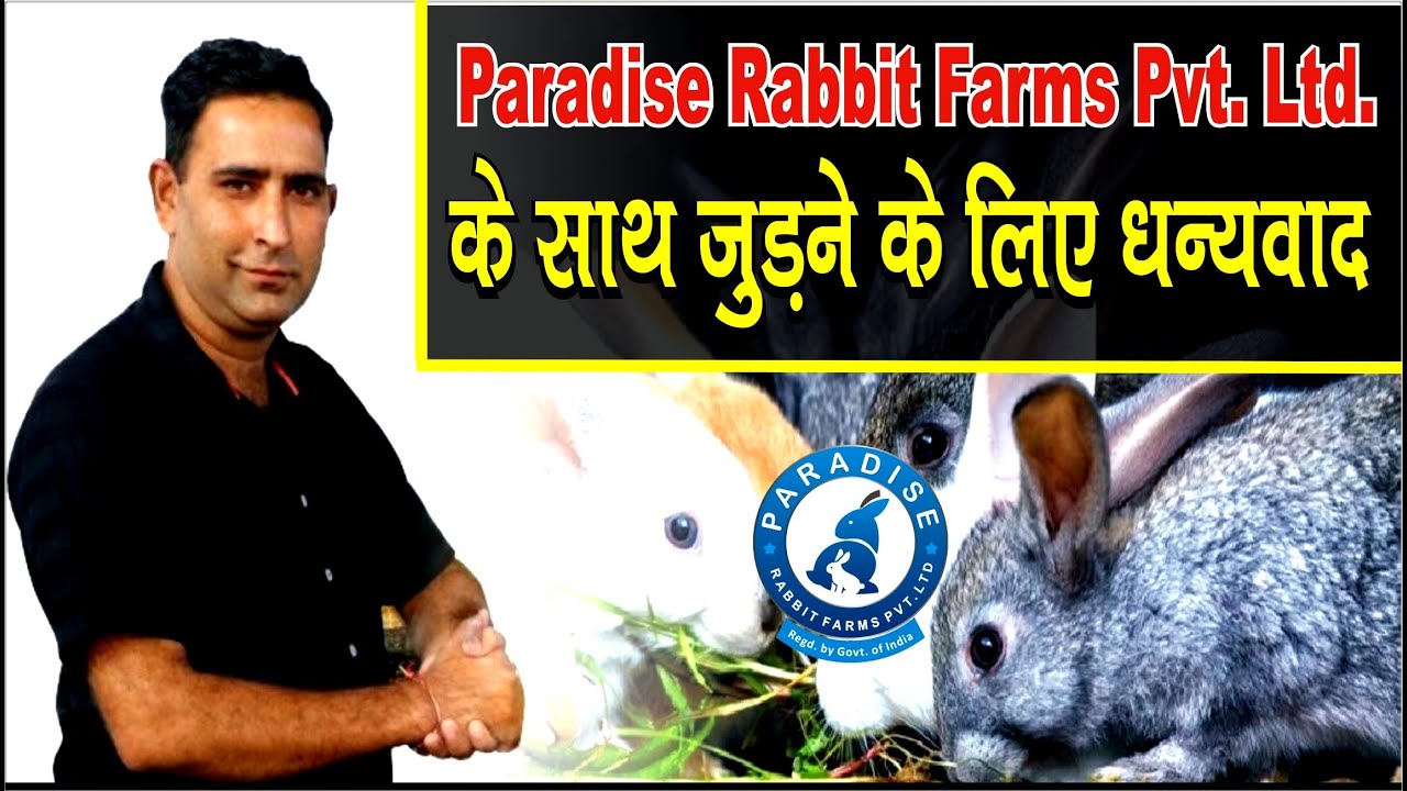 Paradise Rabbit Farms Pvt.Ltd के साथ जुड़ने के लिए धन्यवाद | Rabbit ...