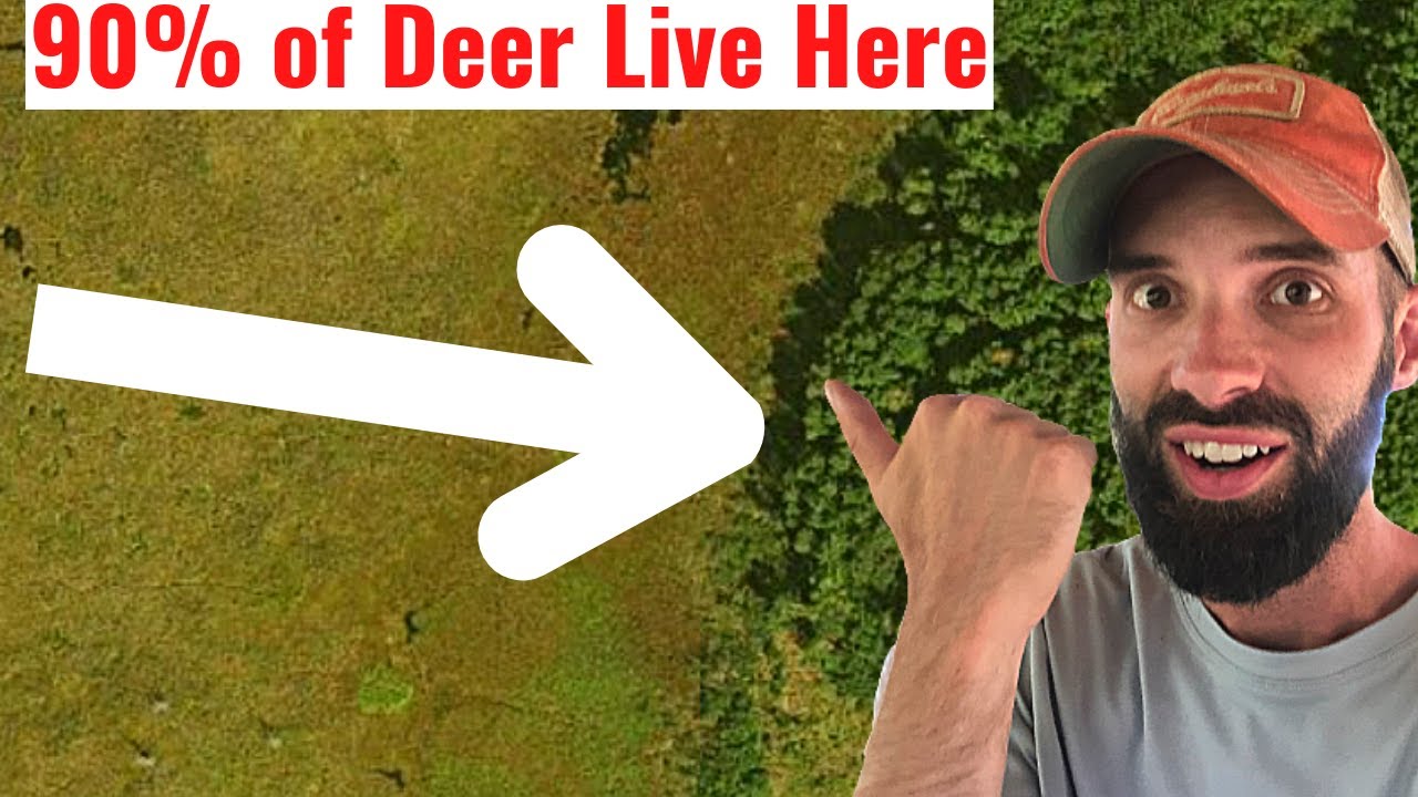 How to Find Deer Hunting Spots FAST - YouTube
