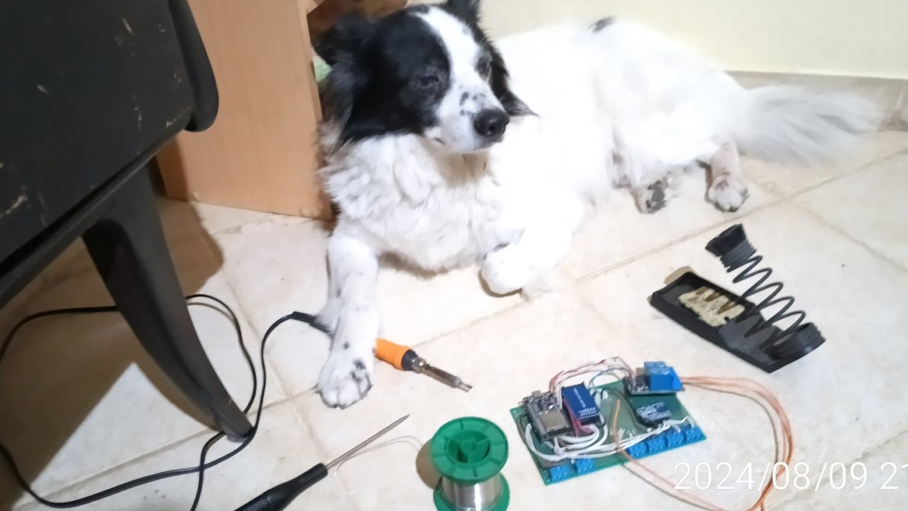 Clara ChatGPT mi aiuta a renderizzare le schede PTA8C04 su RS 485 - YouTube